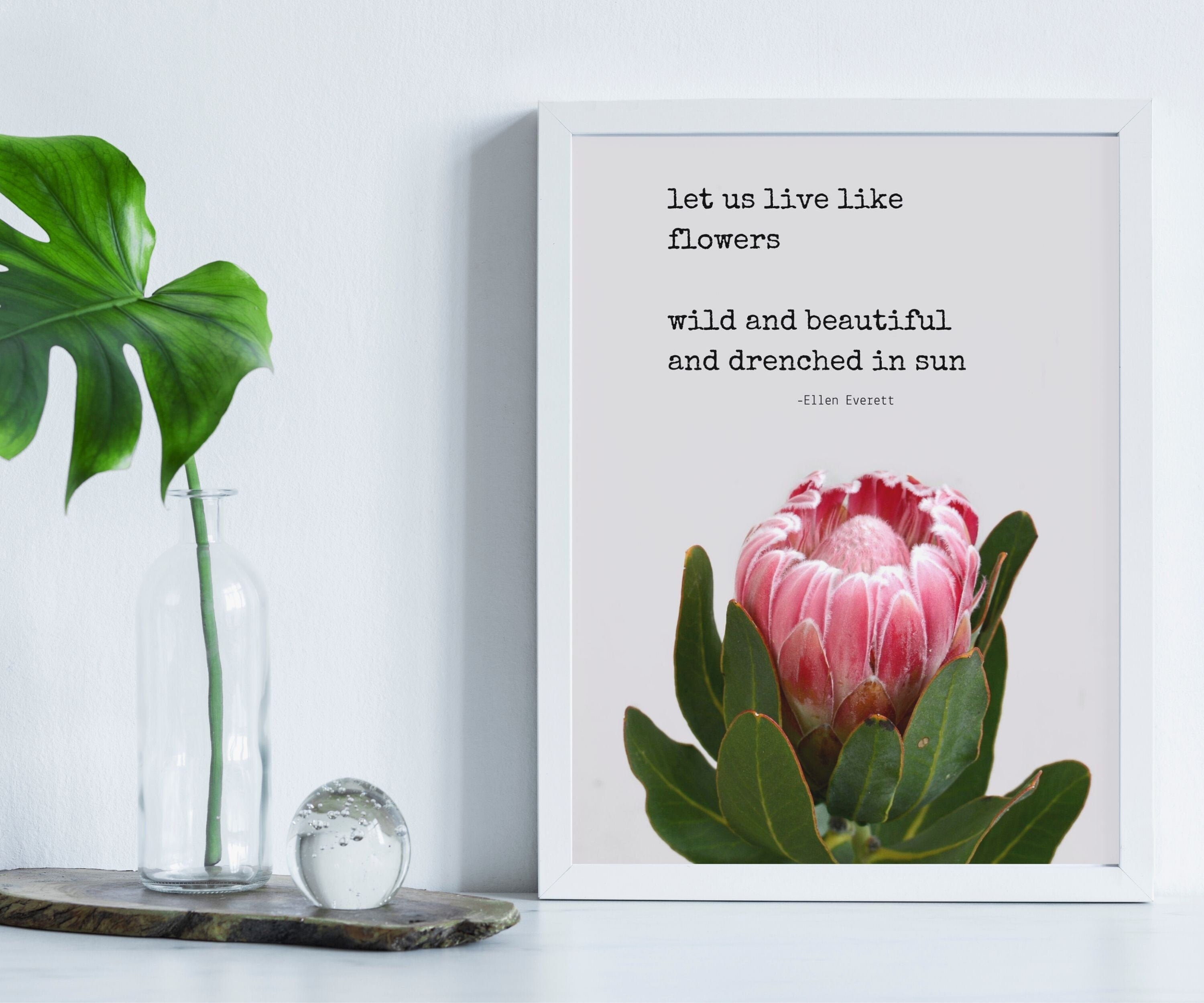 Protea Flower Quotes
