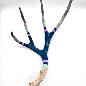 Huge Painted Antler - Hand Painted - Naturally Shed Antler - Mule Deer ...