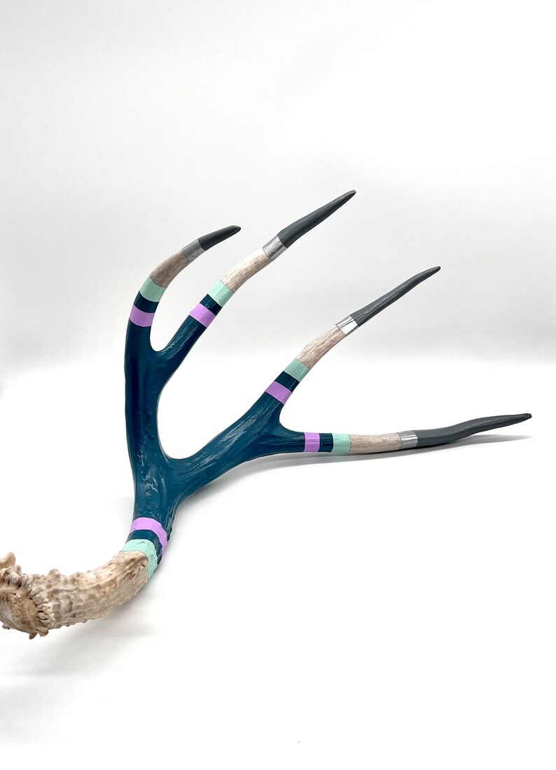 Huge Painted Antler - Hand Painted - Naturally Shed Antler - Mule Deer ...