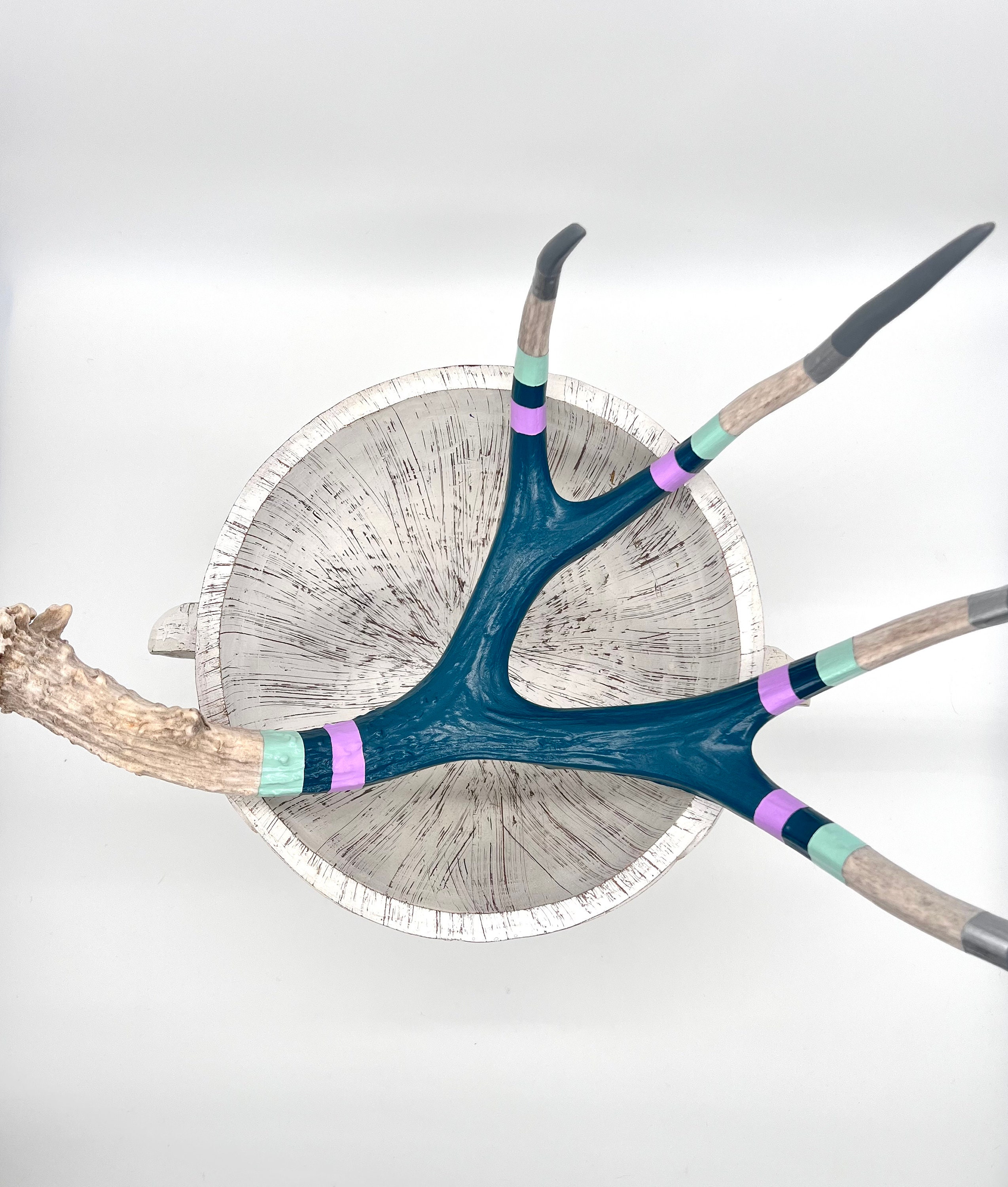 Huge Painted Antler - Hand Painted - Naturally Shed Antler - Mule Deer ...