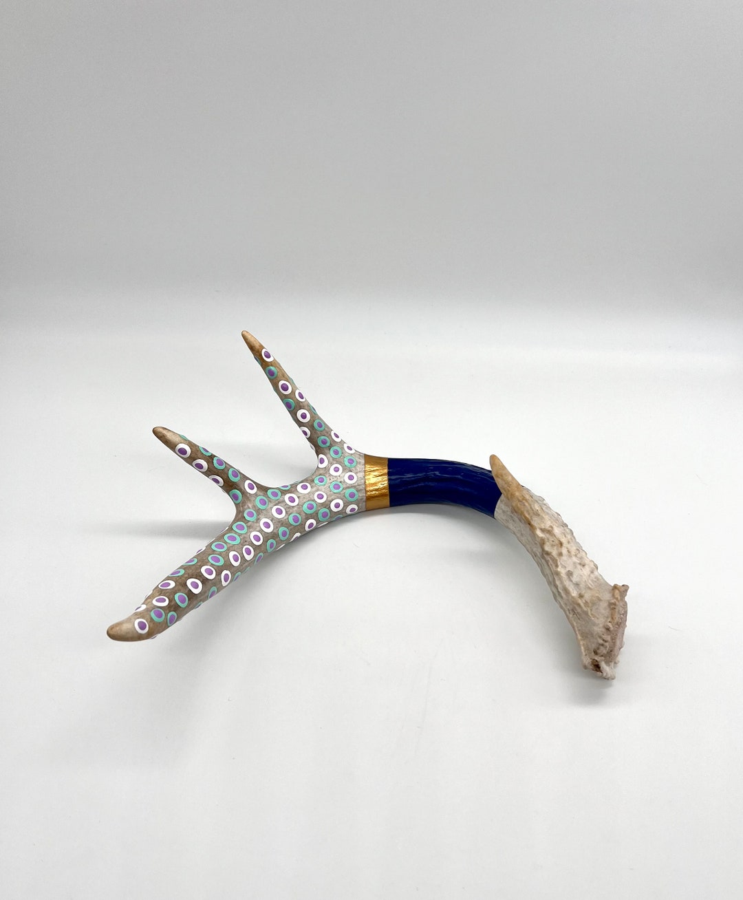 Hand Painted Naturally Shed Deer Antler - Etsy