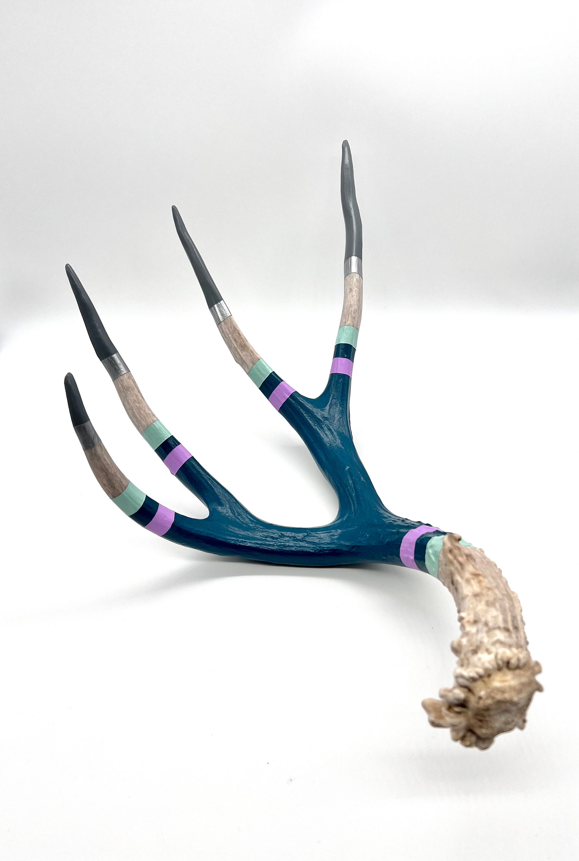 Huge Painted Antler - Hand Painted - Naturally Shed Antler - Mule Deer ...