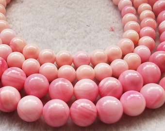 Baby Conch Shell - Etsy