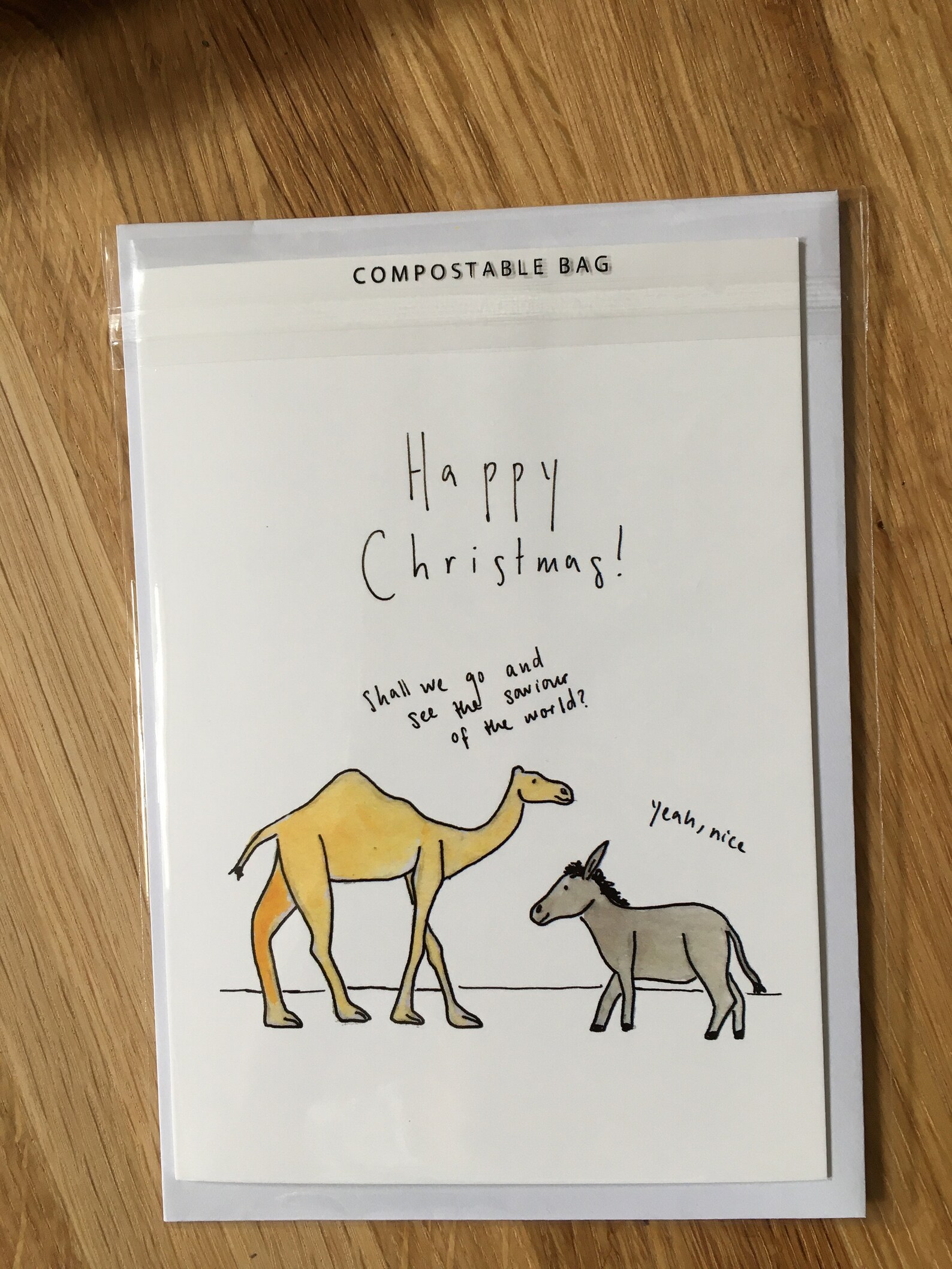 Camel and Donkey Christmas Card - Etsy