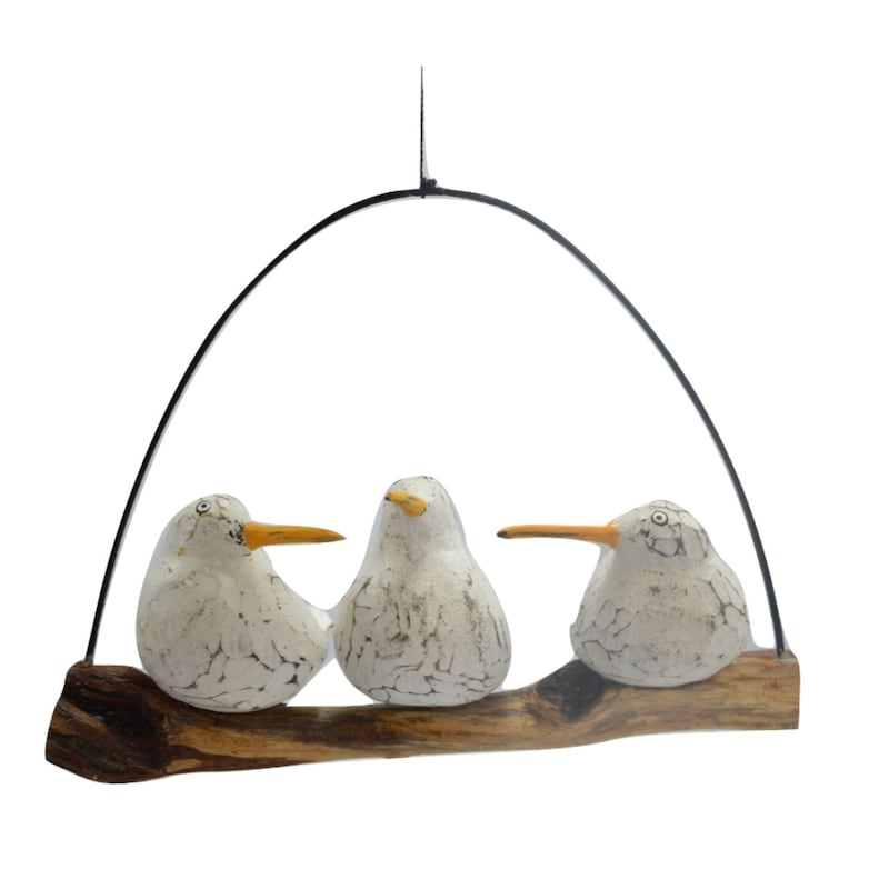 Driftwood Bird Perches - Etsy UK