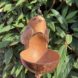 Bird Coconut Shell Bird Feeder Hanging Birds Nest Bird Novelty ...