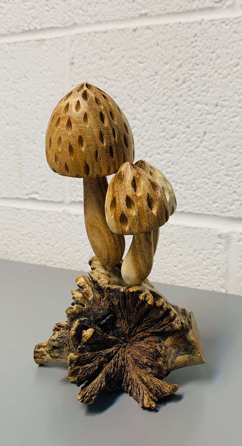 Parasite Wood With Morel Mushroom Carvings Ornament Natural - Etsy