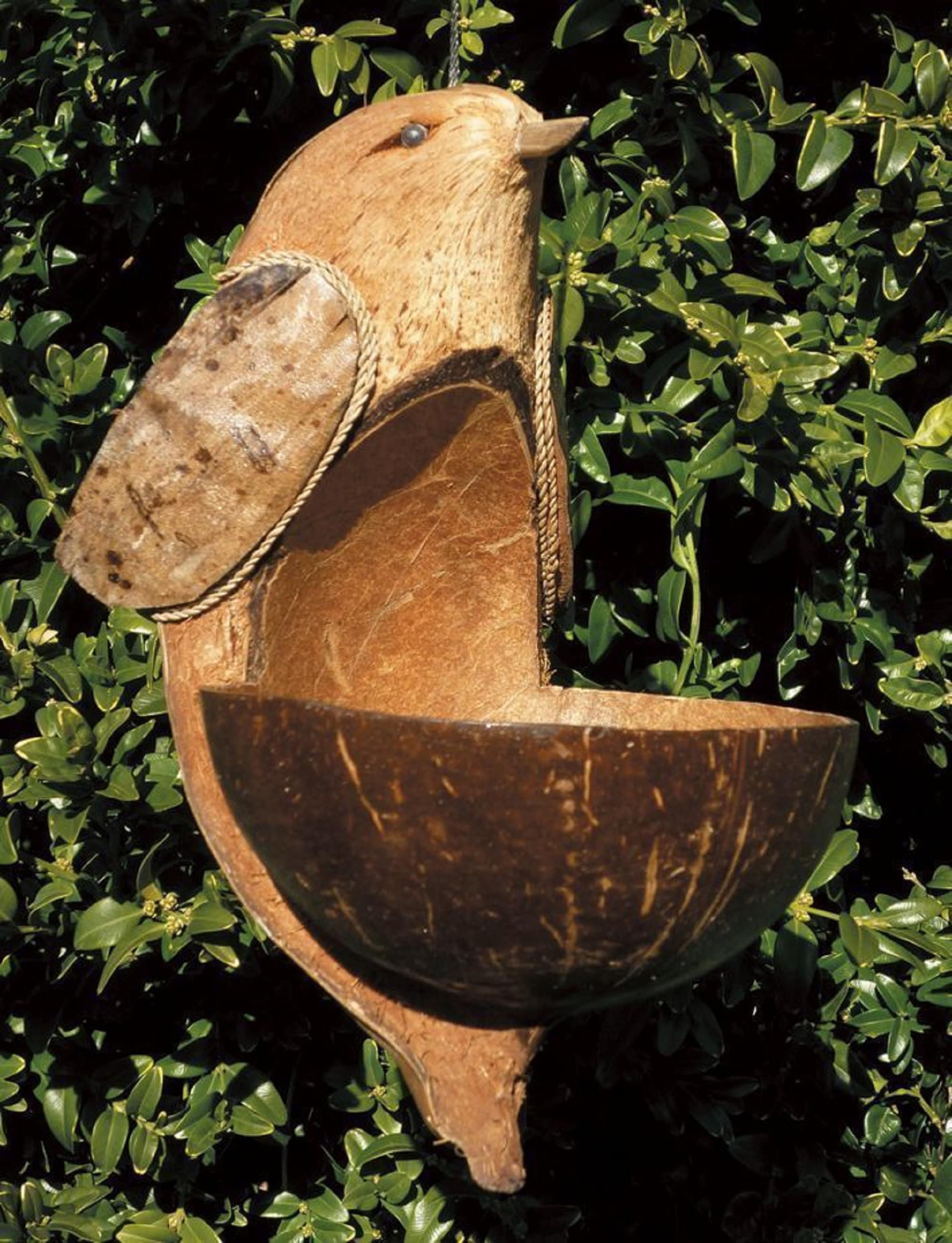 Bird Coconut Shell Bird Feeder Hanging Birds Nest Bird Novelty | Etsy UK