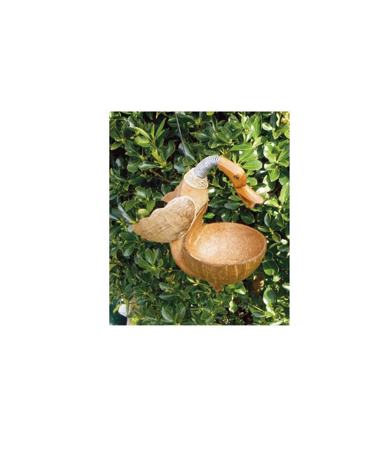 Duck Coconut Shell Bird Feeder Hanging Birds Nest Bird Bobbing - Etsy