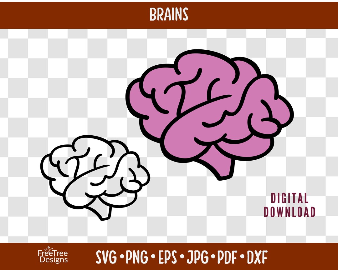 Brain Clipart: Vector Cut File for Cricut, Silhouette, Glowforge ...