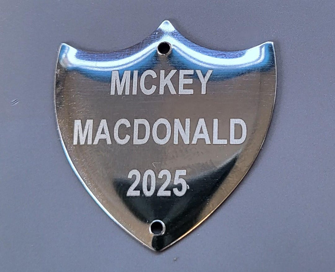 35x38mm Trophy Side-shield, Silver Aluminium Free-engraving Annual ...