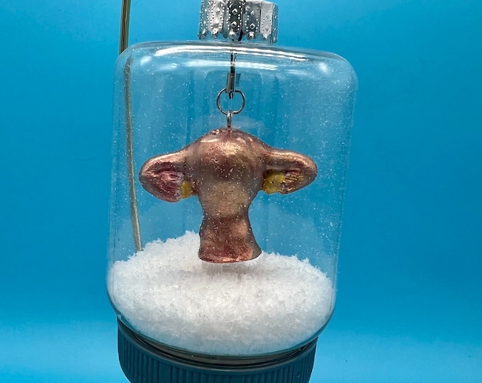 Waterless Uterus & Ovaries Anatomical Organ Snow Globe Masson Jar ...