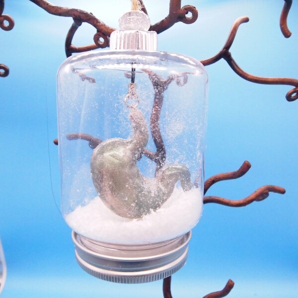 Waterless Snow Globe - Etsy