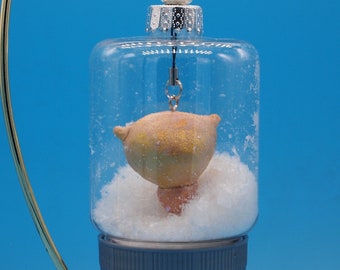 Waterless Pancreas With Duodenum Anatomical Organ Snow Globe - Etsy