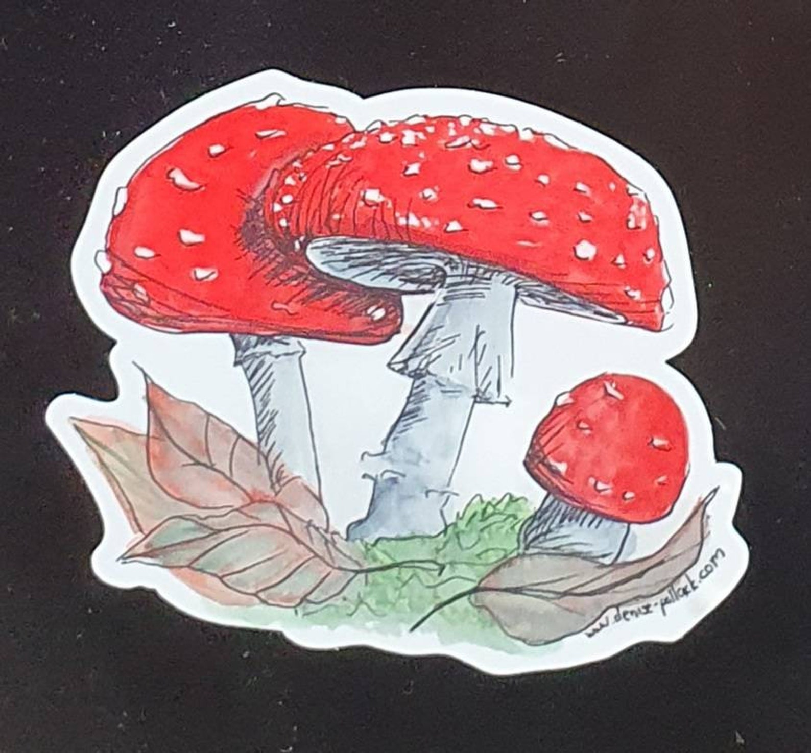 Kunst sticker Magnet Pilz Fliegenpilz amanita muscaria Kreis Spiegel ...