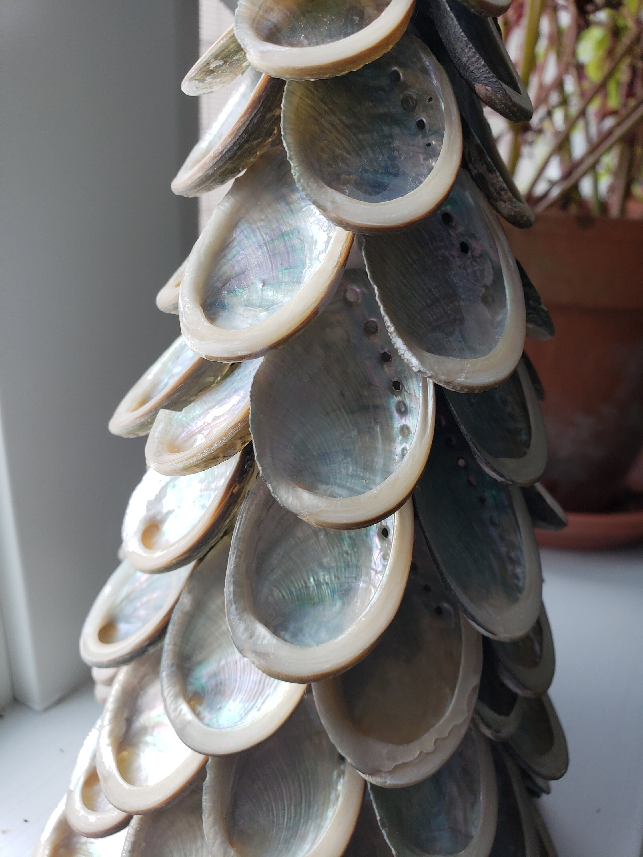 Abalone Tree With Armor Starfish Coastal Decor - Etsy