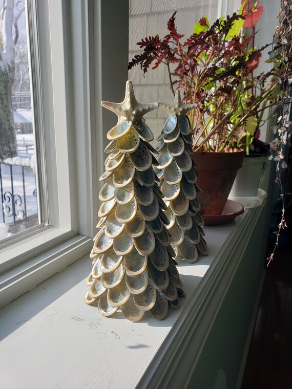 Abalone Tree With Armor Starfish Coastal Decor - Etsy