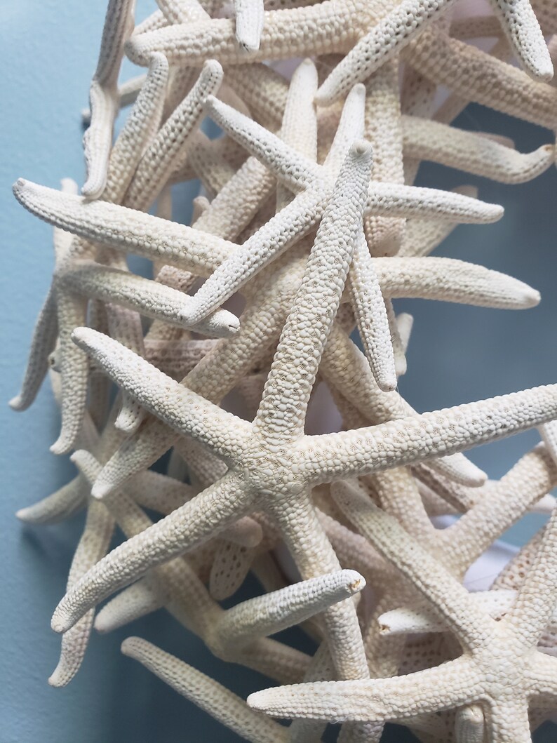 Finger Starfish Wreath Coastal Decor - Etsy