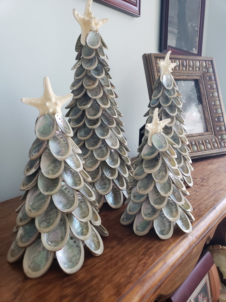 Group of 4 Abalone Trees With Armor Starfish Coastal Decor - Etsy