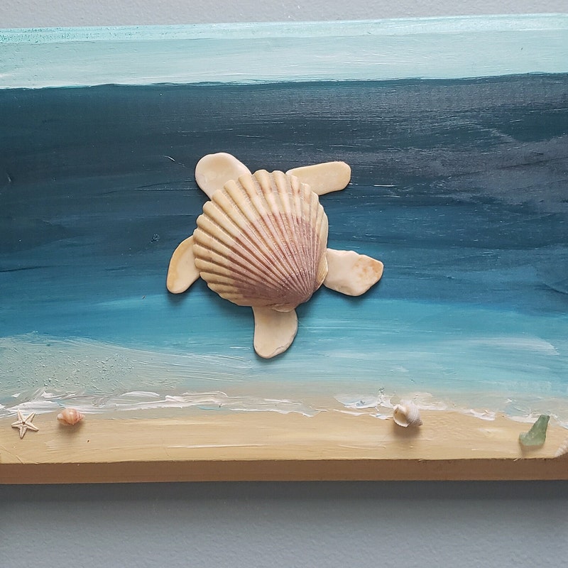 Seashell Turtle - Etsy