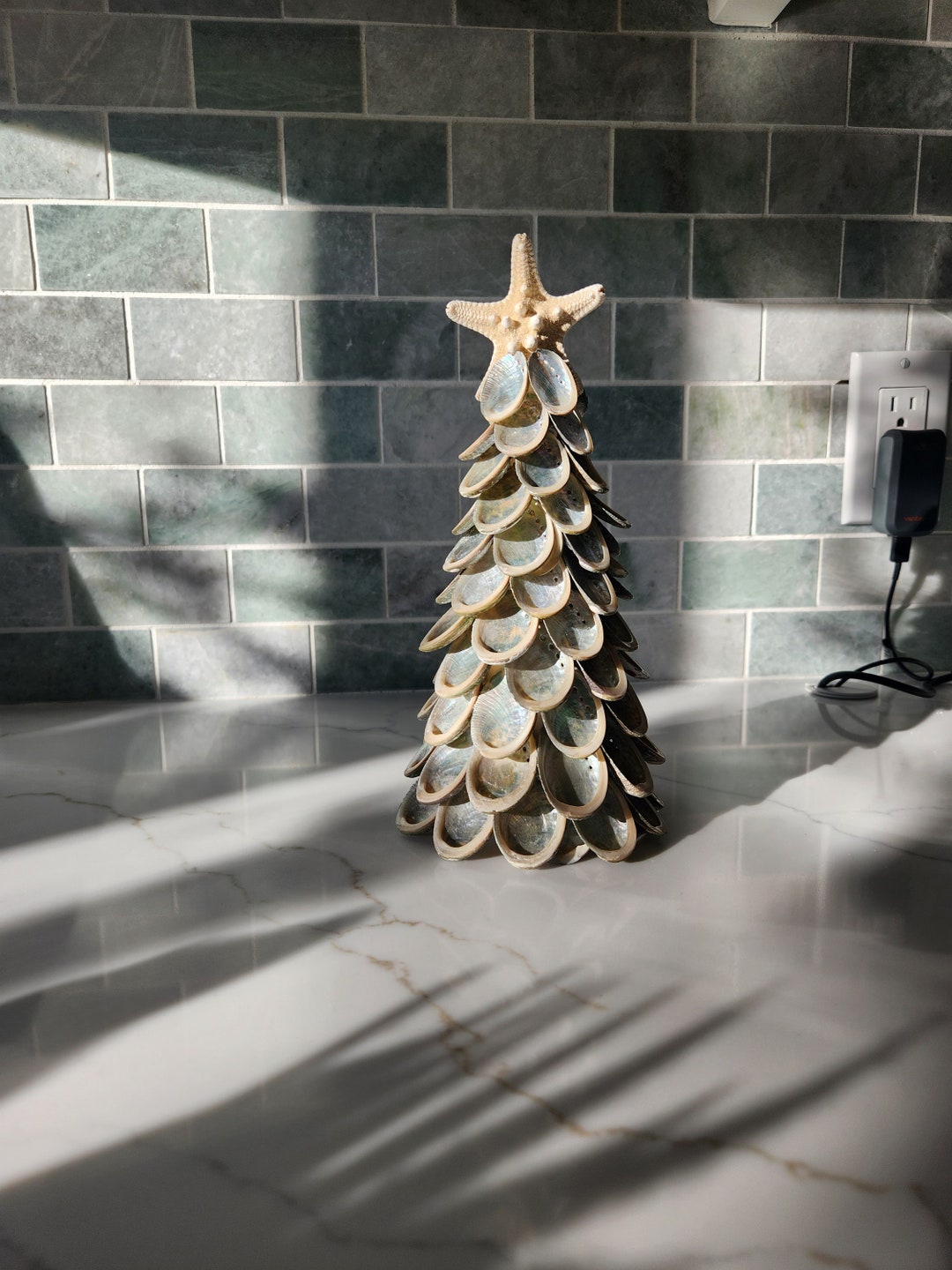 Abalone Tree With Armor Starfish Coastal Decor - Etsy