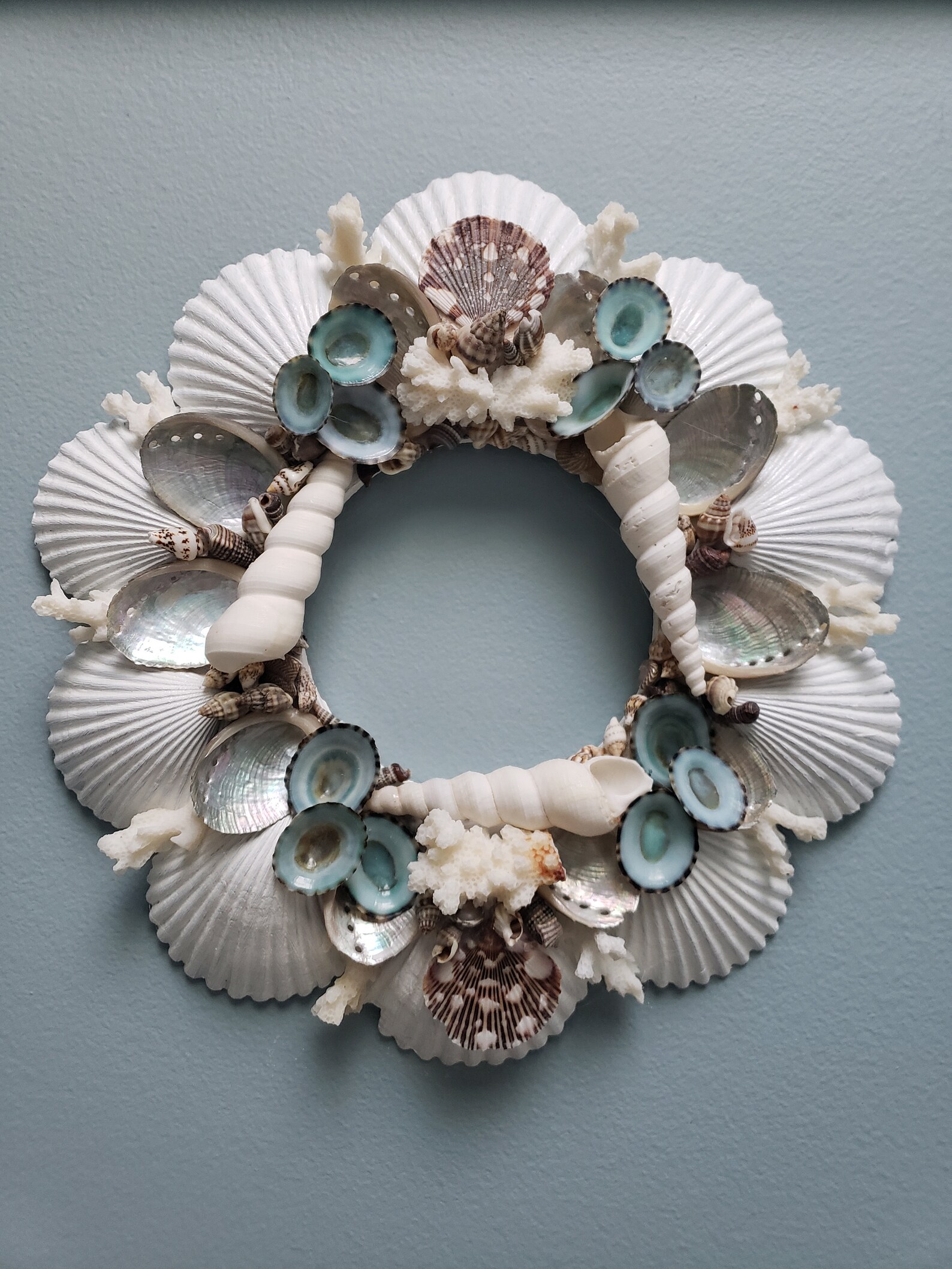 White Scallop Wreath With Abalone and Coral Coastal Decor - Etsy