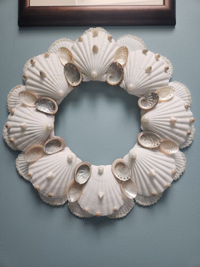 Large White Lions Paw Scallop Shell Wreath With Abalone - Etsy