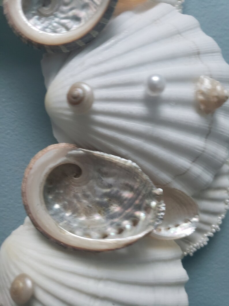 Large White Lions Paw Scallop Shell Wreath With Abalone | Etsy