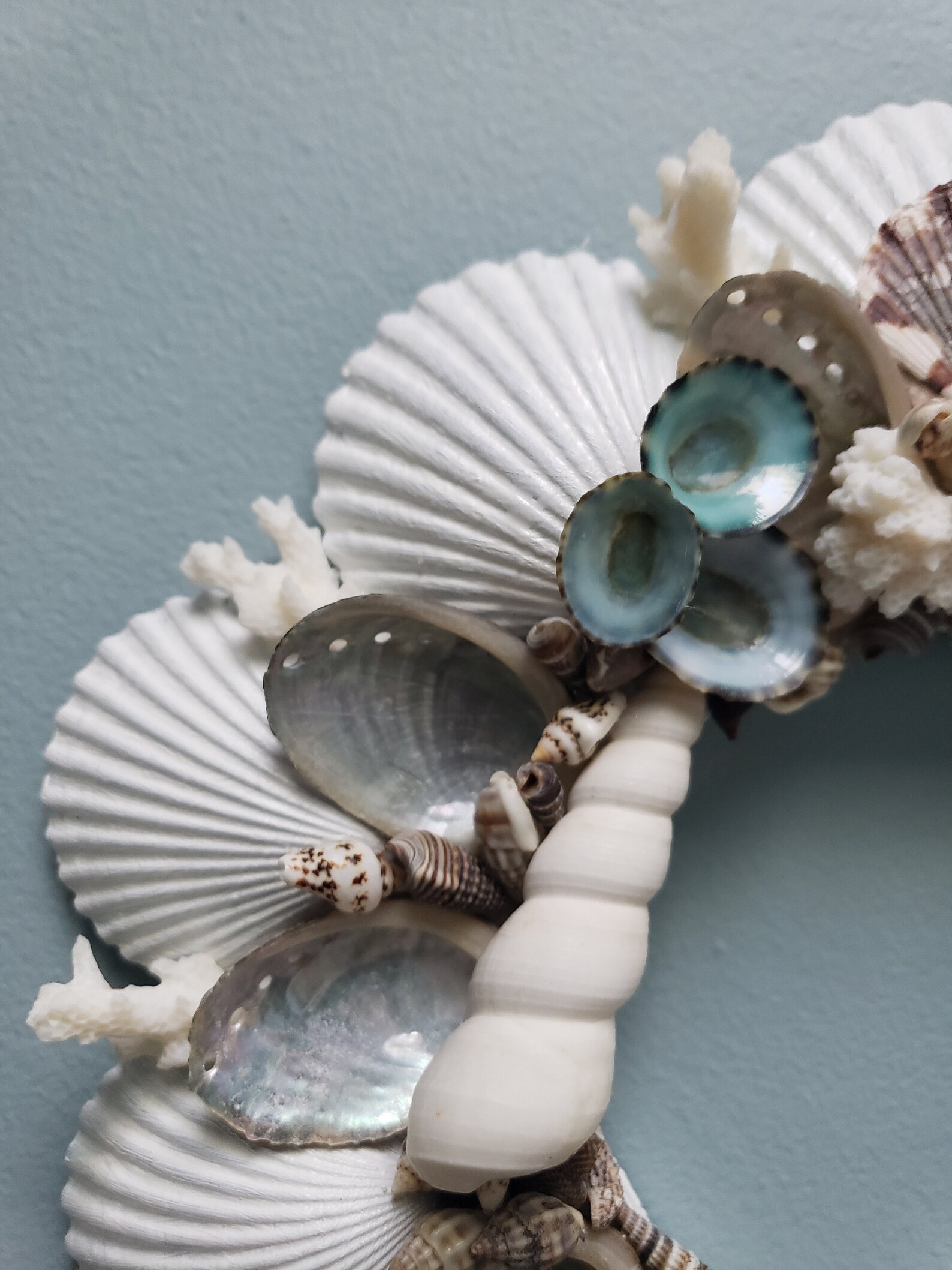 White Scallop Wreath With Abalone and Coral Coastal Decor - Etsy