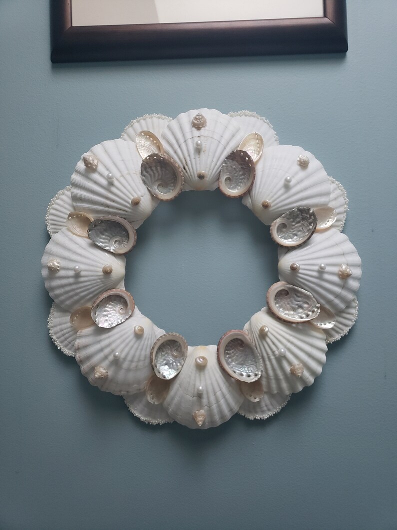 Large White Lions Paw Scallop Shell Wreath With Abalone | Etsy