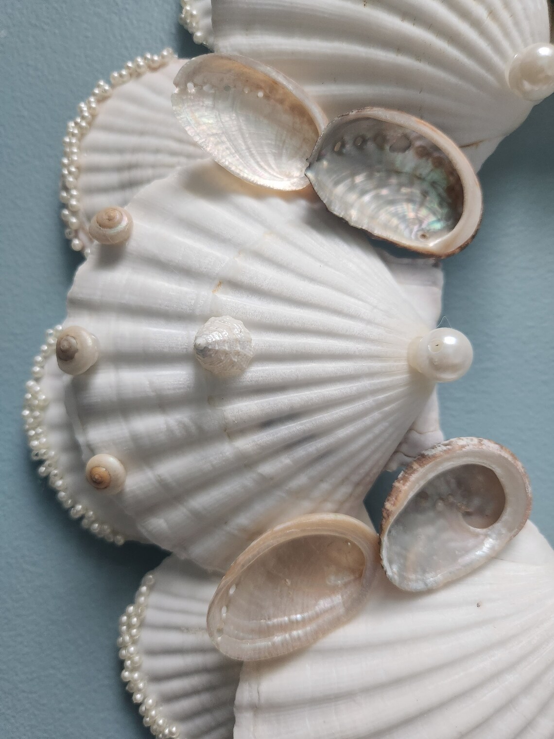 Large White Lions Paw Scallop Shell Wreath With Abalone - Etsy