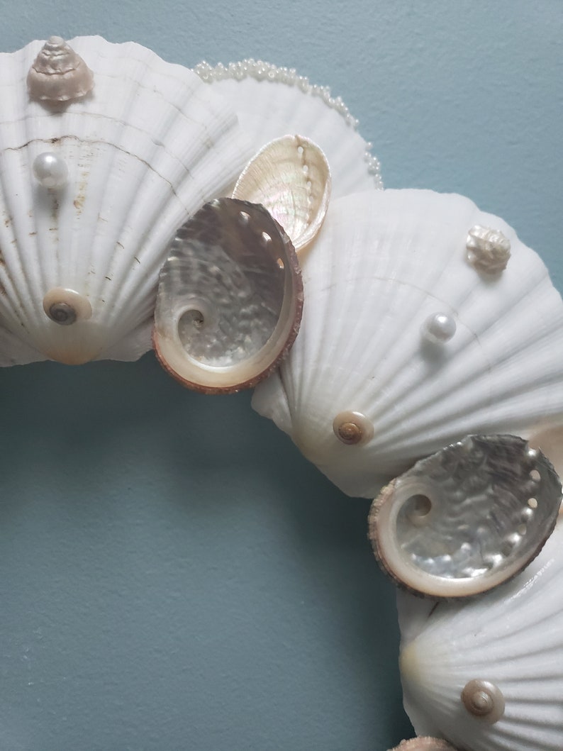 Large White Lions Paw Scallop Shell Wreath With Abalone | Etsy