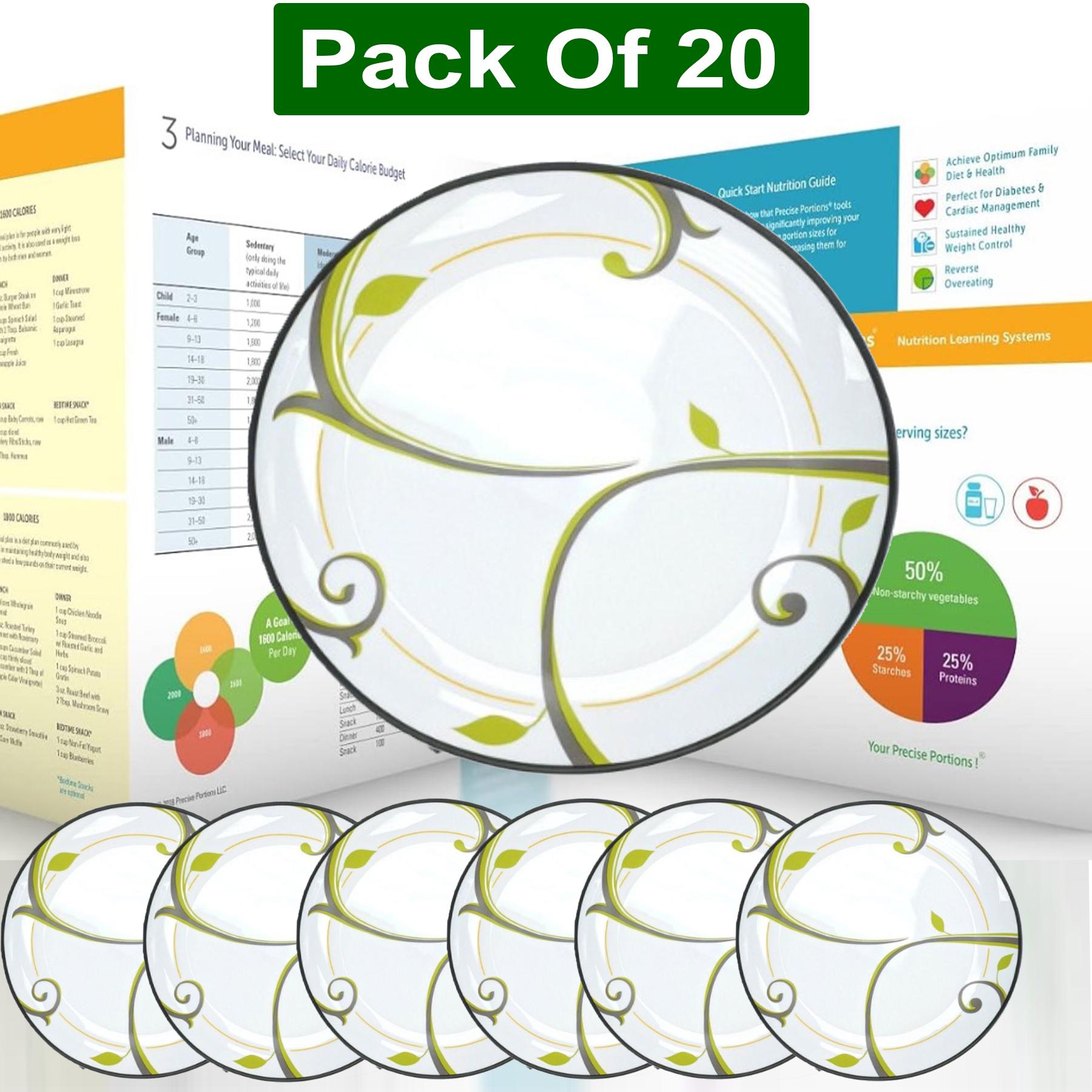 Porcelain Portion Control Dining Plate, Vintage Serveware & Nutrition ...