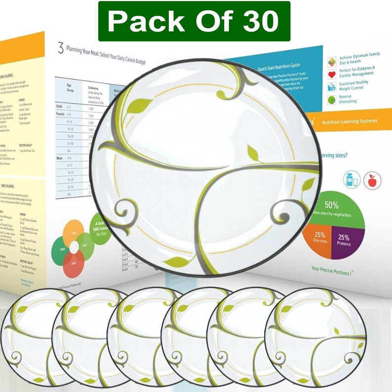 Porcelain Portion Control Dinner Plates - Porcelain Dinnerware ...