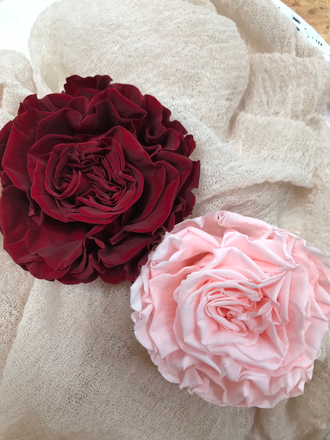 Stabilized Double Roses Infinity Roses Durable Item Does - Etsy