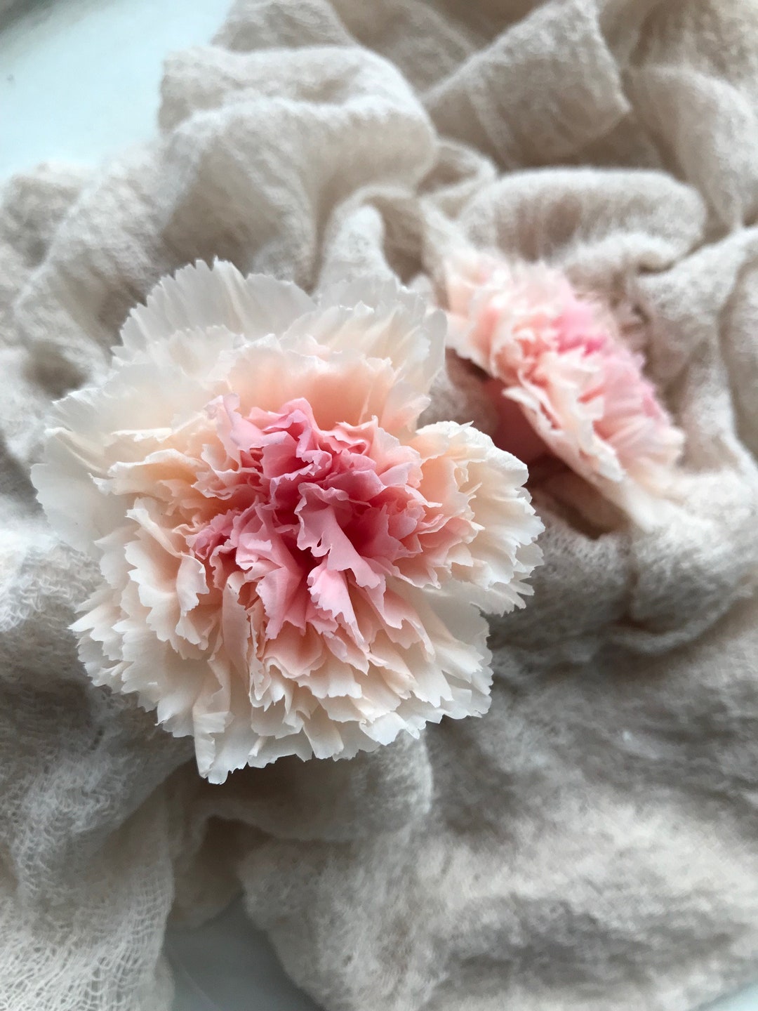 Stabilized Carnations / Infinity Flowers / Preserving Flowers / in 3 ...