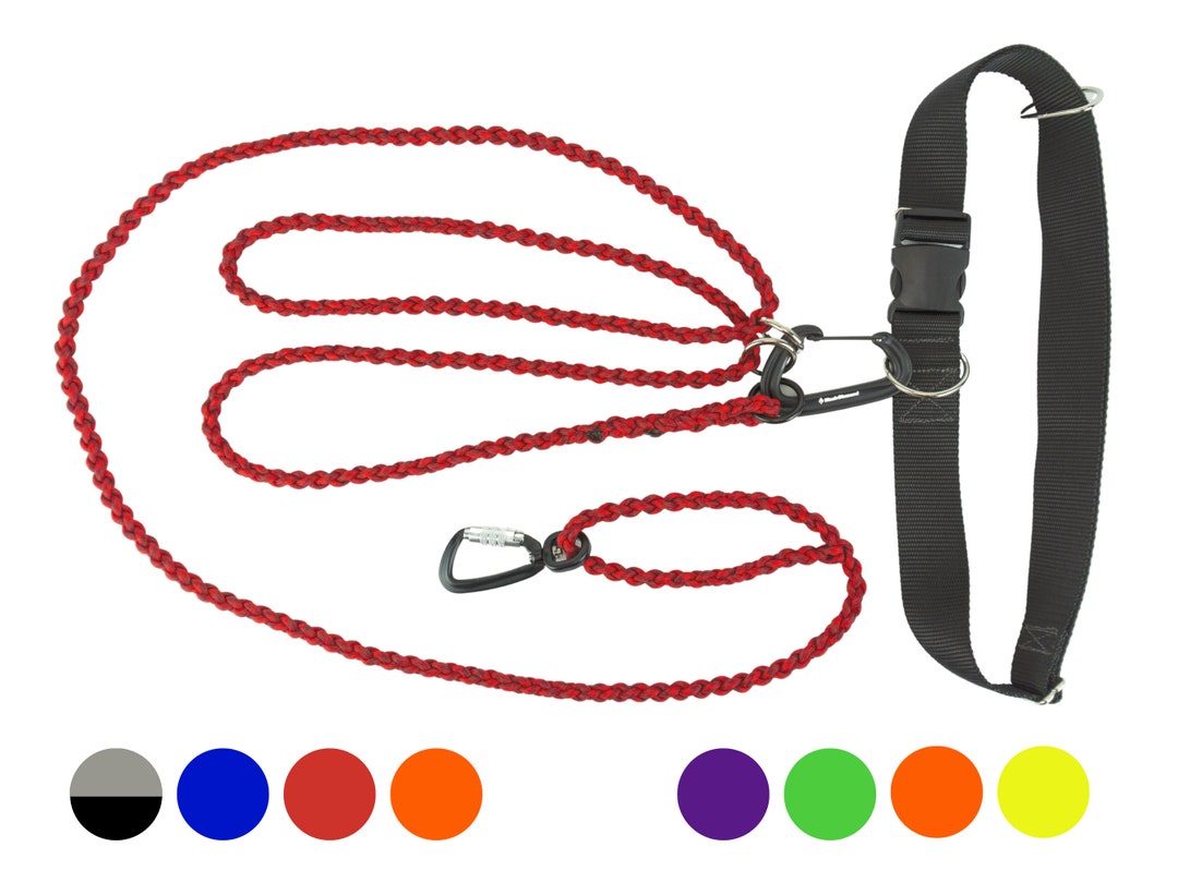 Adjustable Length Long Dog Leash, Hands Free Long Line, Hiking Leash ...