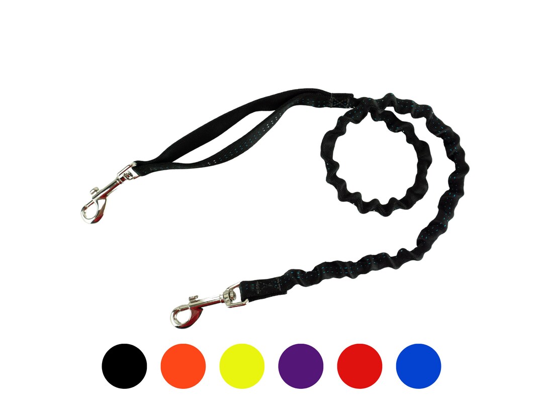 Light Weight Hands Free Bungee Leash for Small Dogs, Shock Absorbing ...