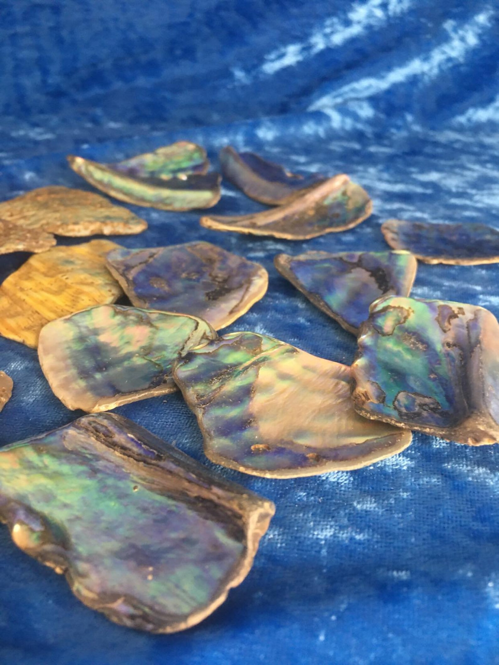 Paua Shell Abalone Shell Pieces Small Polished Pieces | Etsy