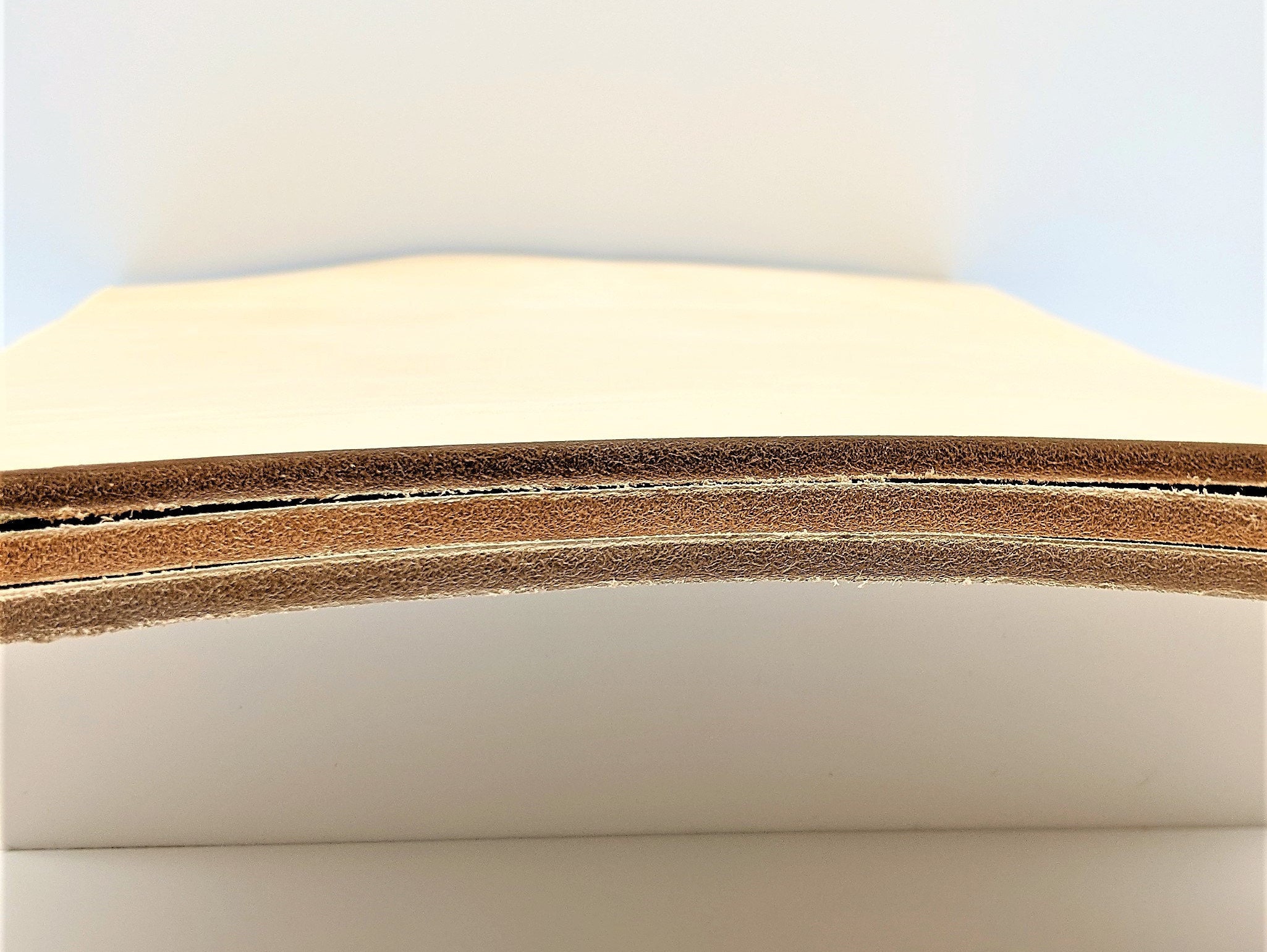Vegetable Tanned Sole Leather Bend: Shoe Repair, Leather Craft (10x14 ...