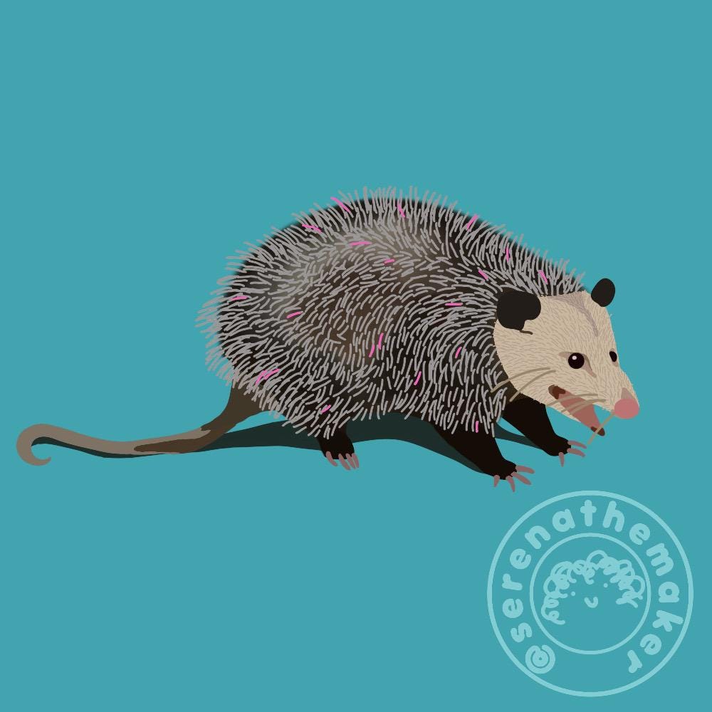 Instant Download Pink Opossum Graphic Art - Etsy