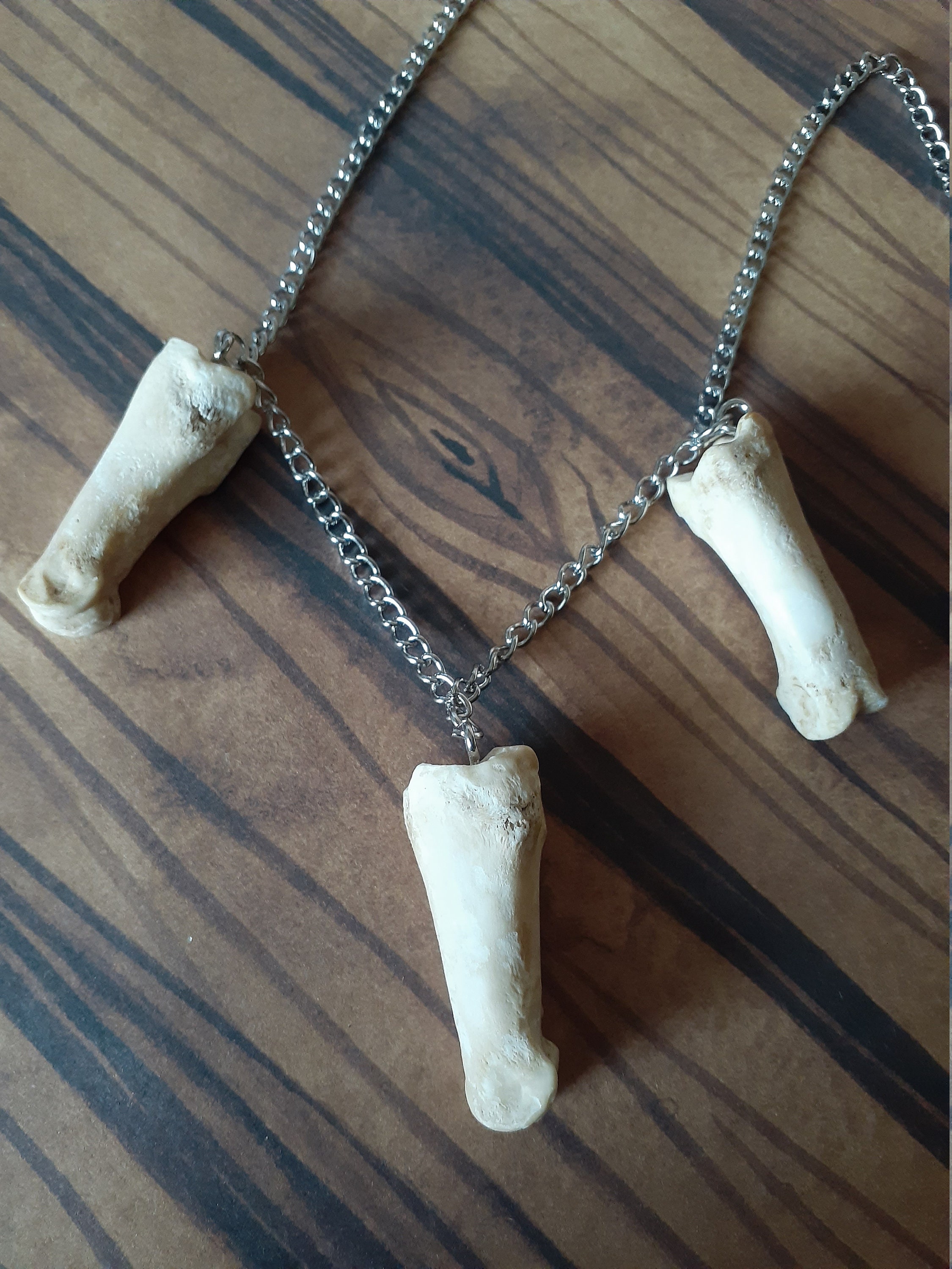 White-tailed Deer Toe Bone Necklace - Etsy UK