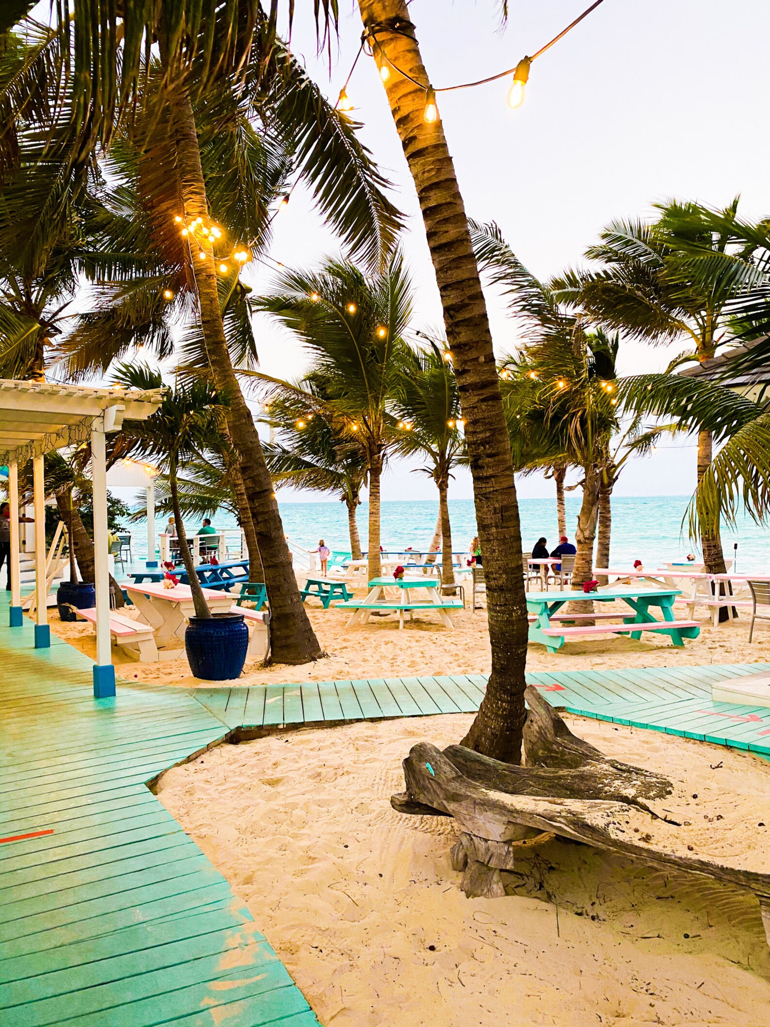 The Conch Shack in Turks and Caicos, Digital Download Photo, Beach ...