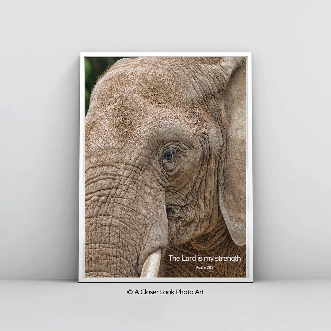 Elephant Strength Color, Bible Verse Wall Art, Scripture Art, Christian ...