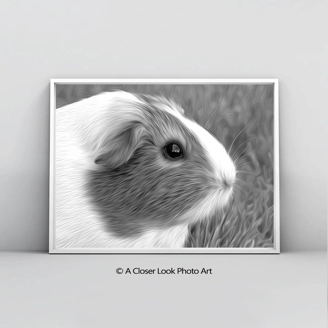 Guinea Pig Print, Animal Wall Art, Nature Print, Digital Download ...
