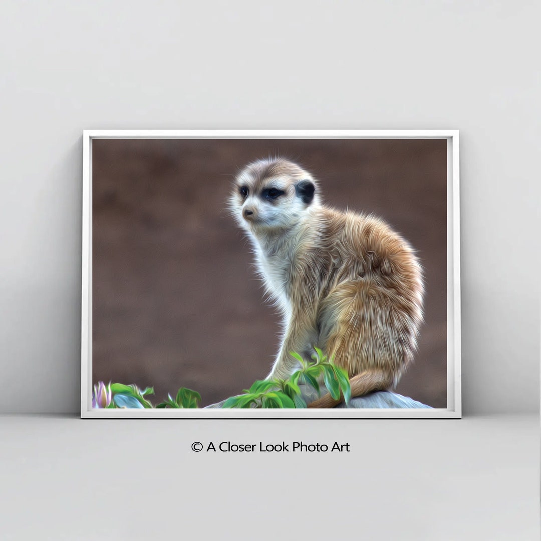 Meerkat Print, Animal Wall Art, Nature Print, Digital Download Poster ...