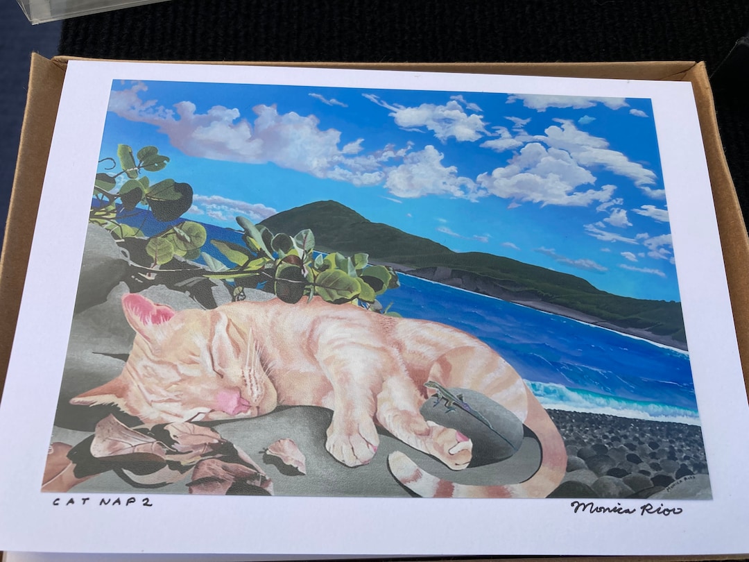 Cat Nap Boxed Set of 5x7 Hand Mounted & Signed Cards - Etsy