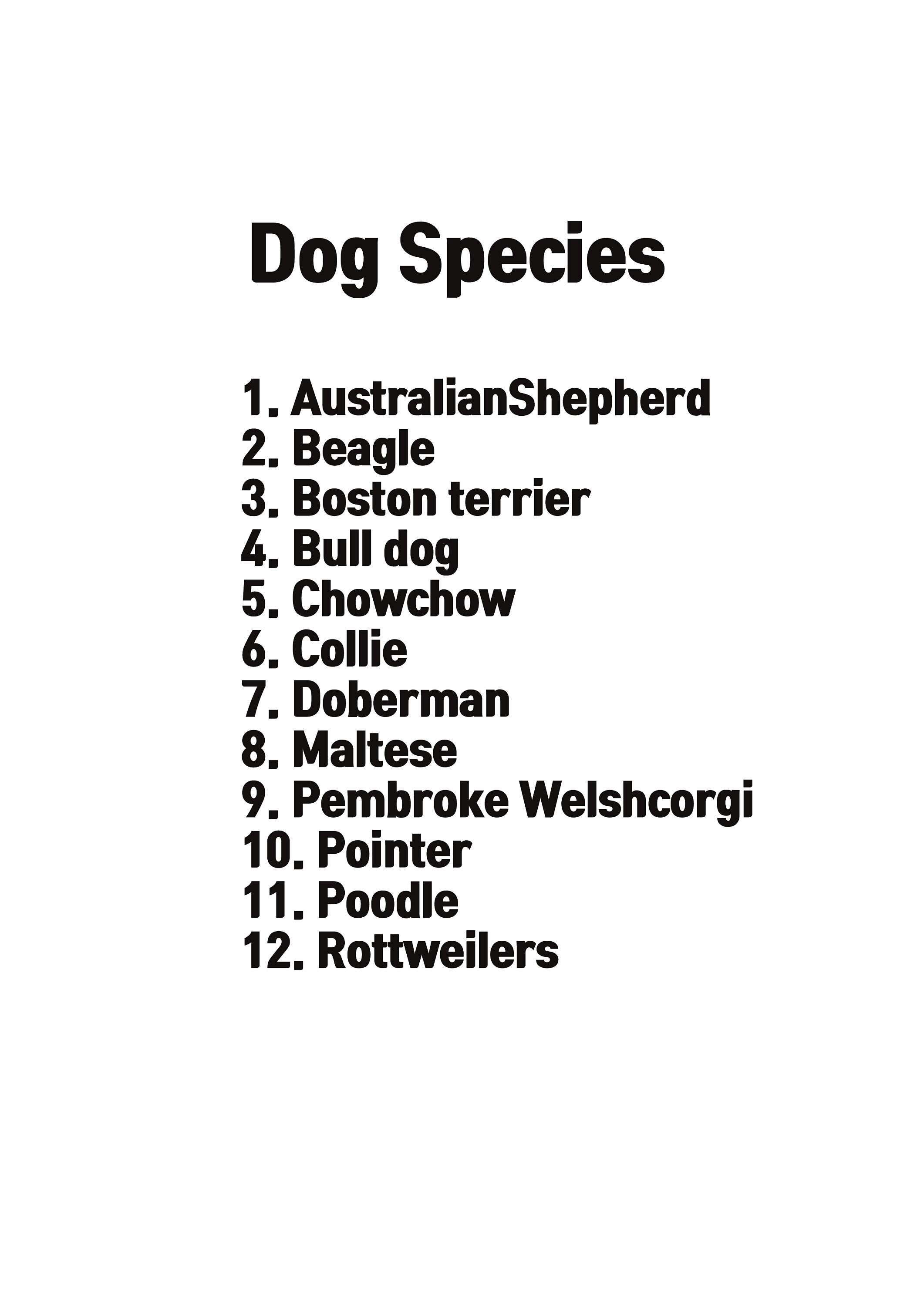 12 Dog Patterns beaglebulldogcolliemoltesepoodleetc - Etsy