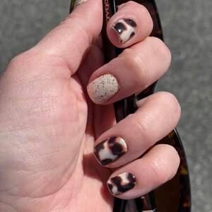 Color Street: Show And Shell | Etsy