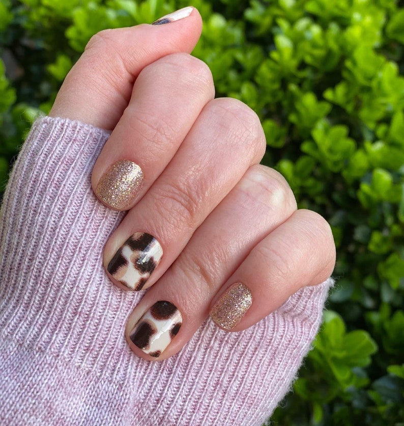 Color Street: Show And Shell | Etsy